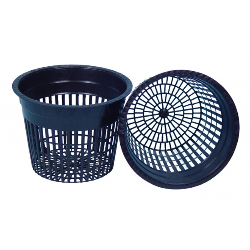 Mesh Pots | Root 2 Success